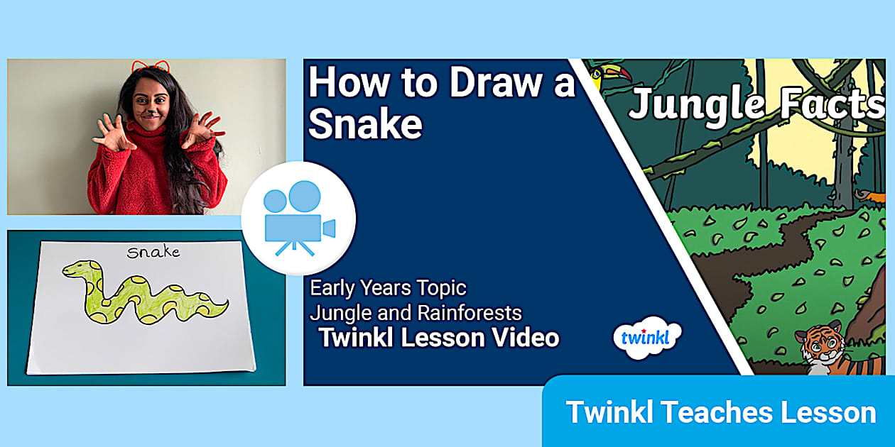 How to Draw a Snake Video Lesson | EYFS Jungle & Rainforests