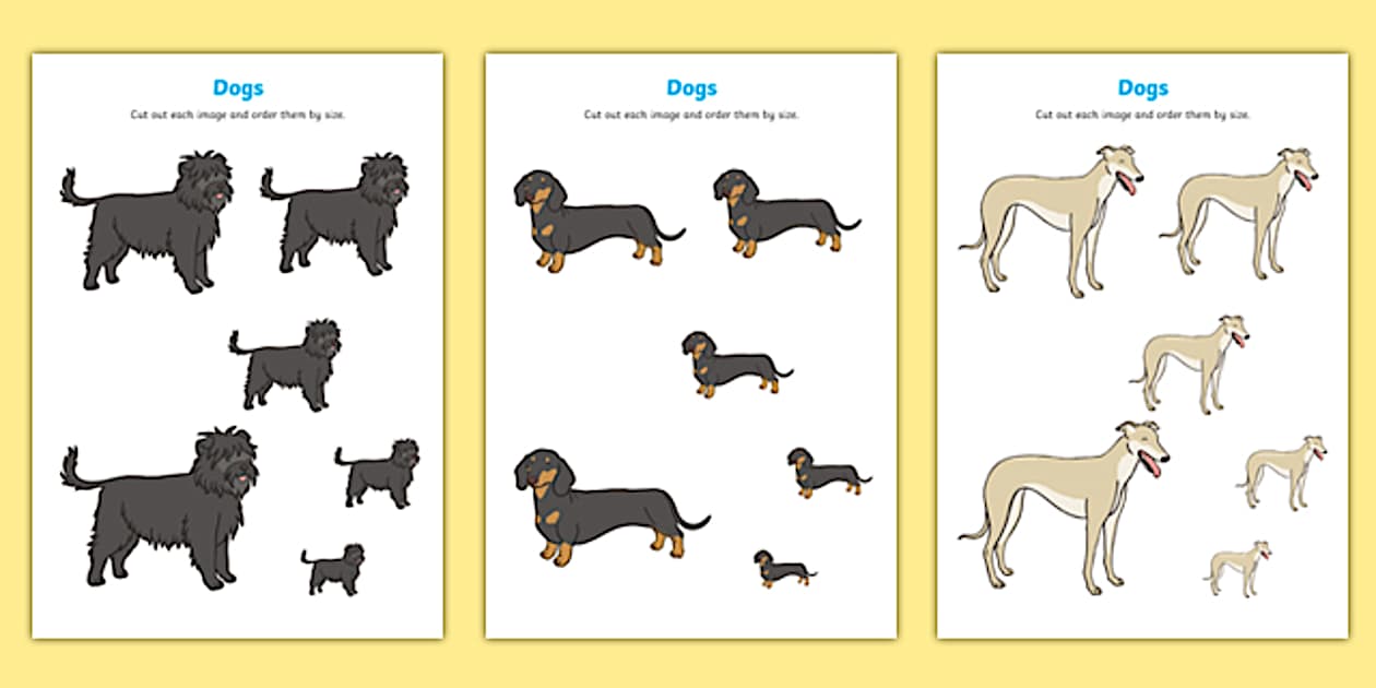 Dog-Themed Size Ordering (teacher made) - Twinkl