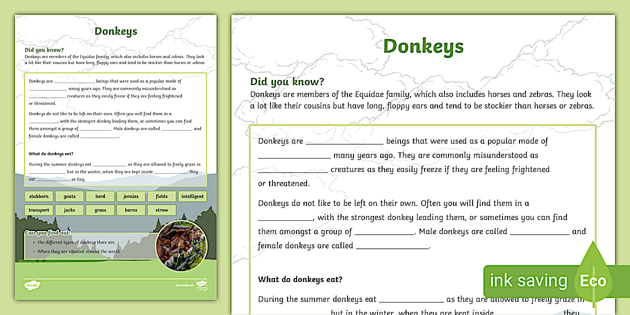 Donkey Cloze Activity (teacher made) - Twinkl