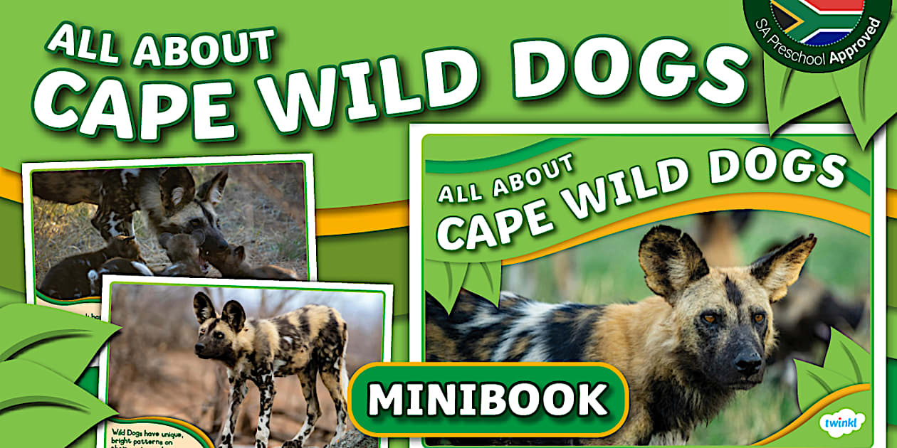 Preschool - African Animals - African Wild Dogs - Mini Book