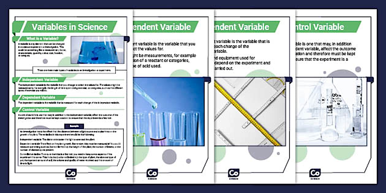 Variables in Science: Display Posters (teacher made)