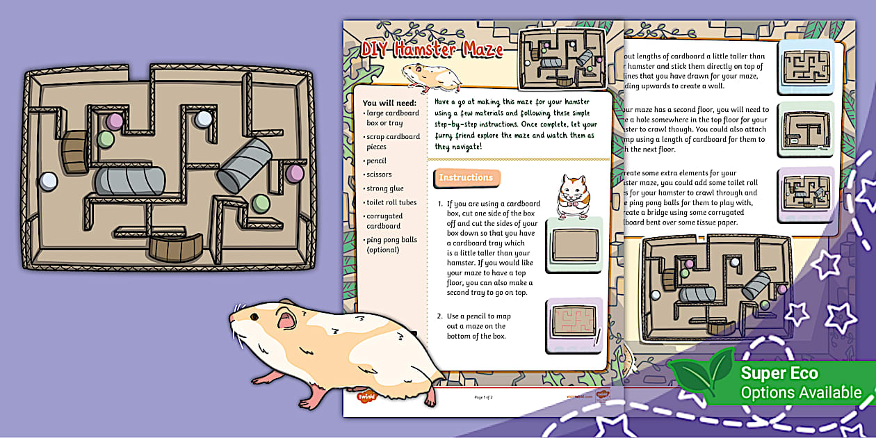DIY Hamster Maze (teacher made) - Twinkl
