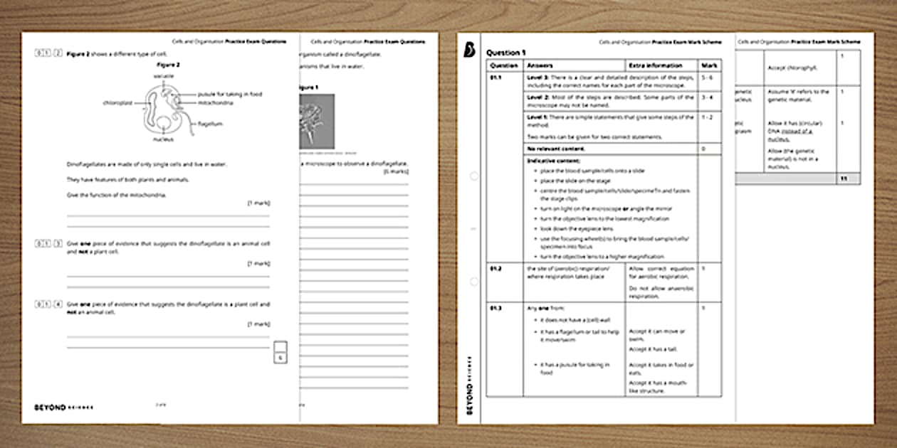 KS3 Cells and Organisation Practice Exam Questions Higher