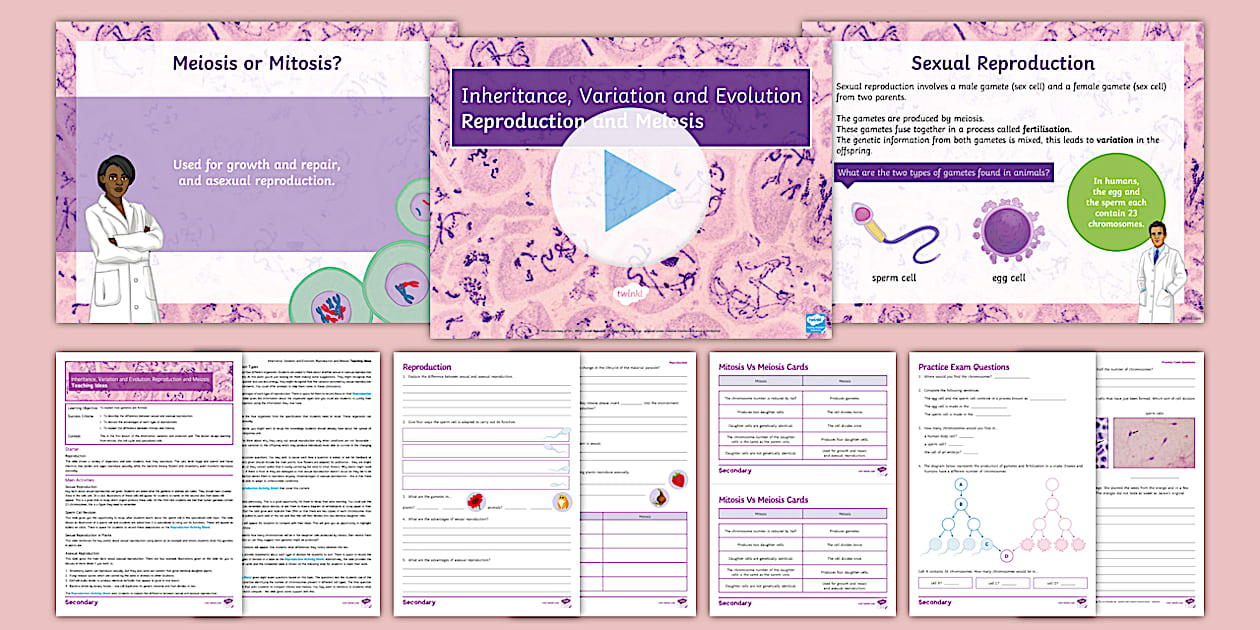 AQA Inheritance, Variation and Evolution Lesson 1: Reproduction and Meiosis