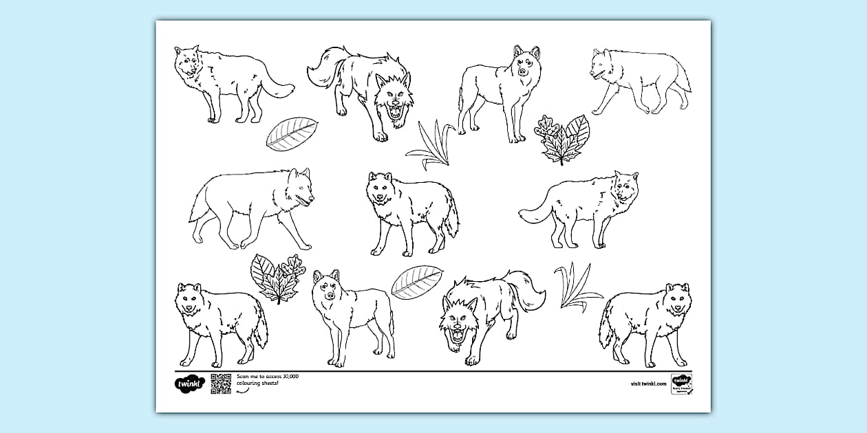 Wolf Doodle Colouring Page (teacher made) - Twinkl