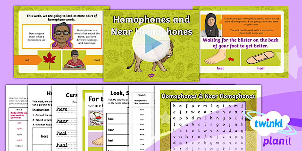 Homophones and Near Homophones Lesson Plan (teacher made)