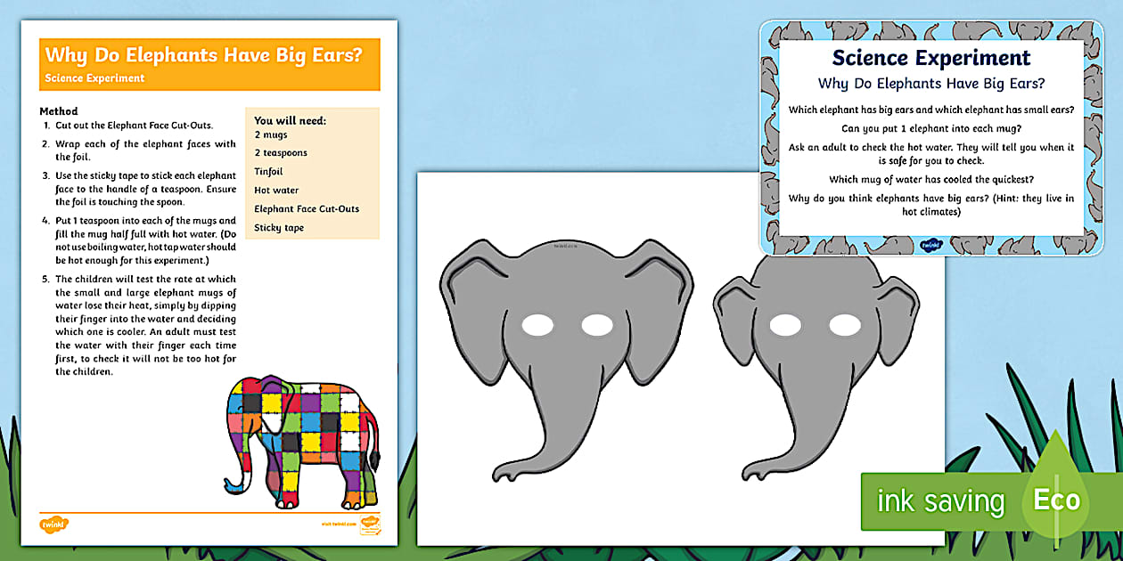 EYFS Why Do Elephants Have Big Ears? Science Experiment and Prompt Card ...