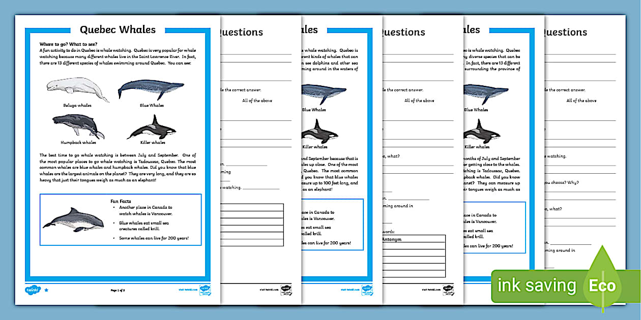 Black and White Quebec Whales Differentiated Reading Comprehension Activity