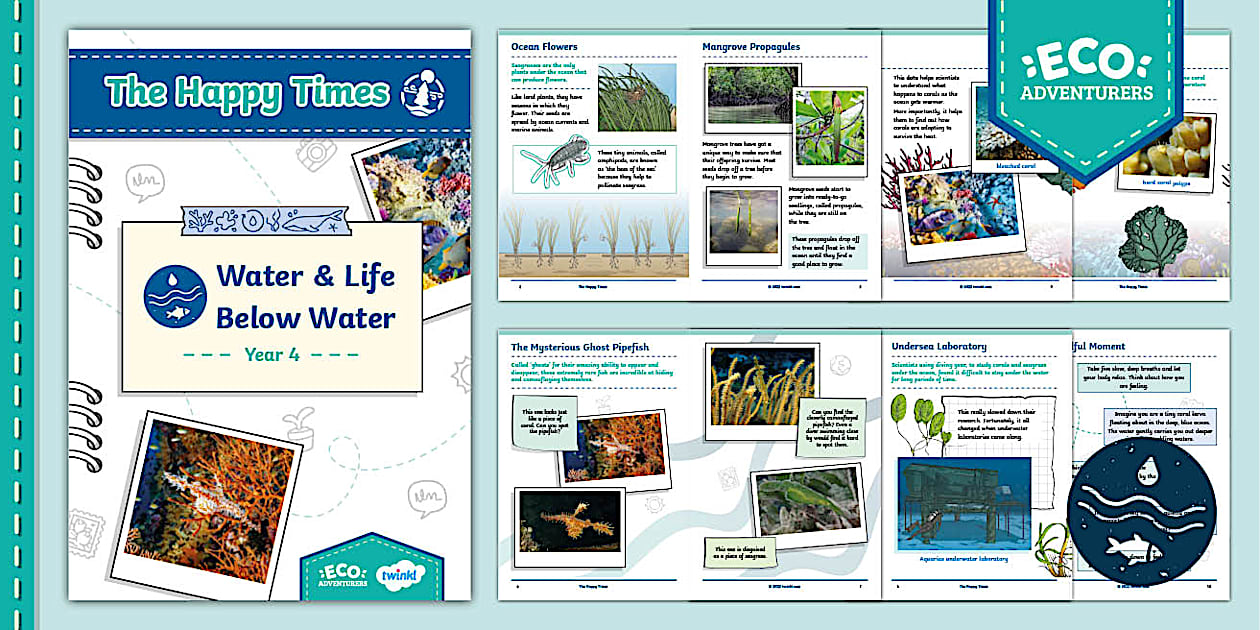 Year 4 Water & Life Below Water: The Happy Times