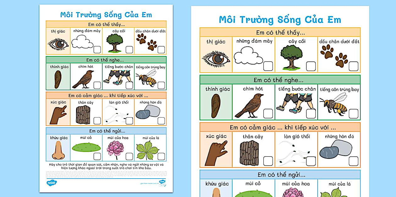 Trò Chơi Truy Tìm Kho Báu Các Giác Quan Của Em