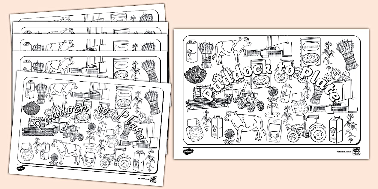 * NEW * Paddock to Plate Colouring Sheet (teacher made)