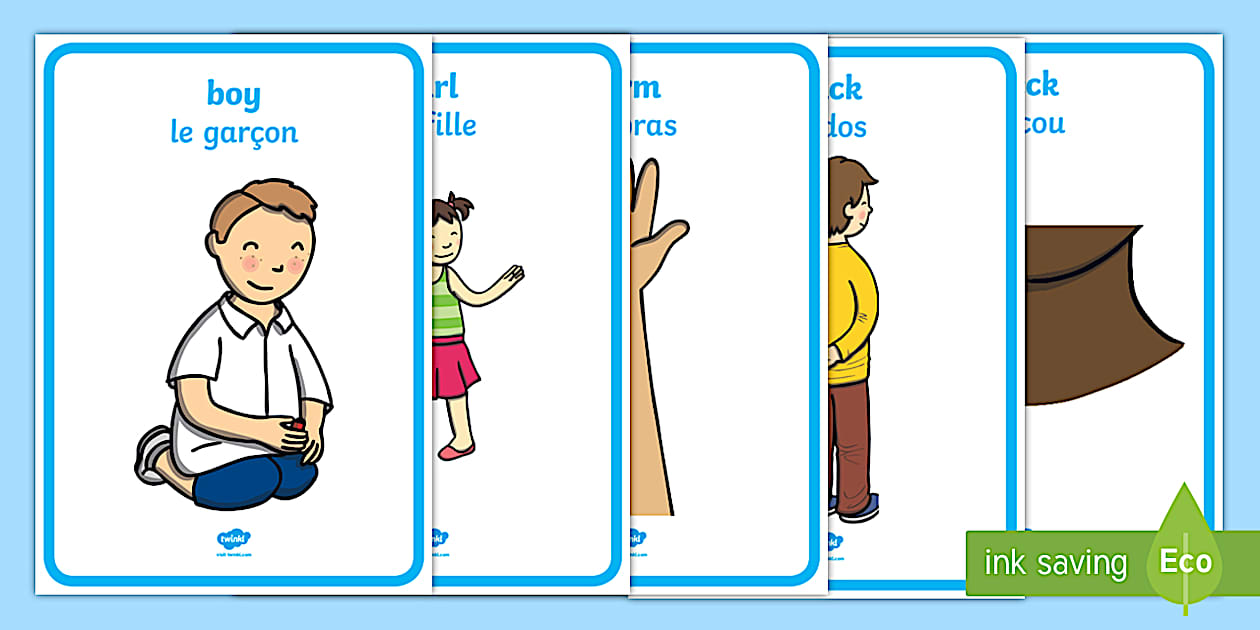 Parts of the Body Display Posters English/French - Twinkl