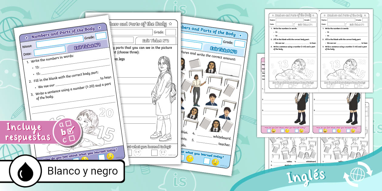 Inglés | 5° Básico | Numbers | Body Parts | Vocabulary