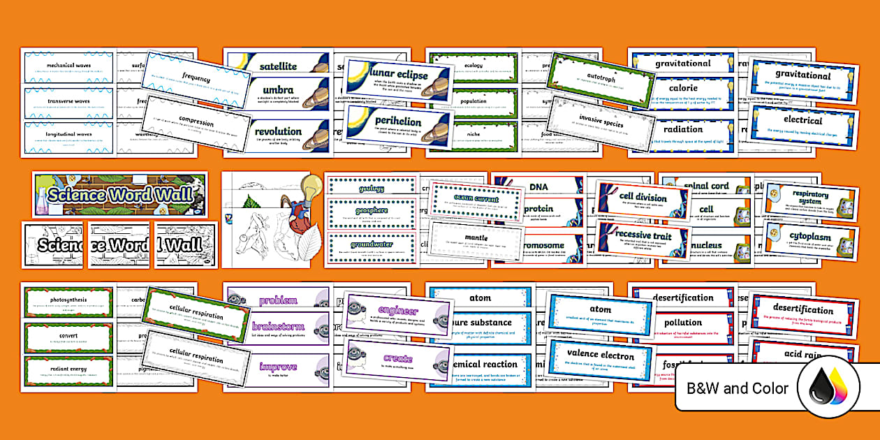 Sixth Grade Science Word Wall Pack (teacher made) - Twinkl