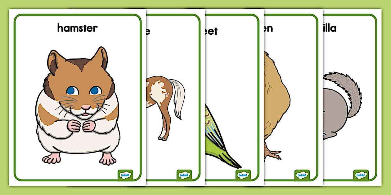 Pets Posters (teacher made) - Twinkl