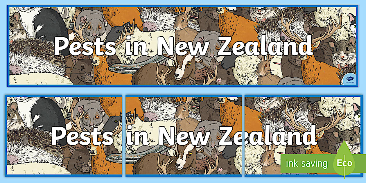 Pests in New Zealand Display Banner