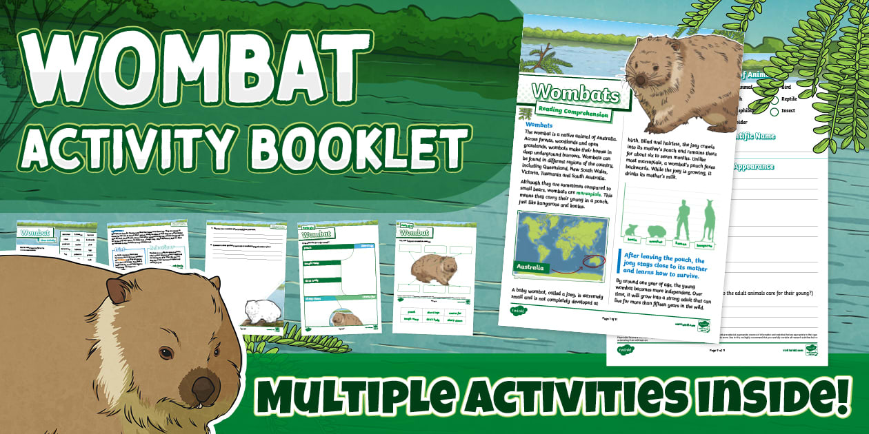 Wombat Activity Booklet