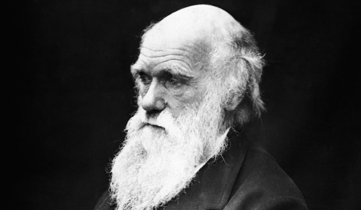 Charles Darwin Day - Twinkl NewsRoom - Twinkl