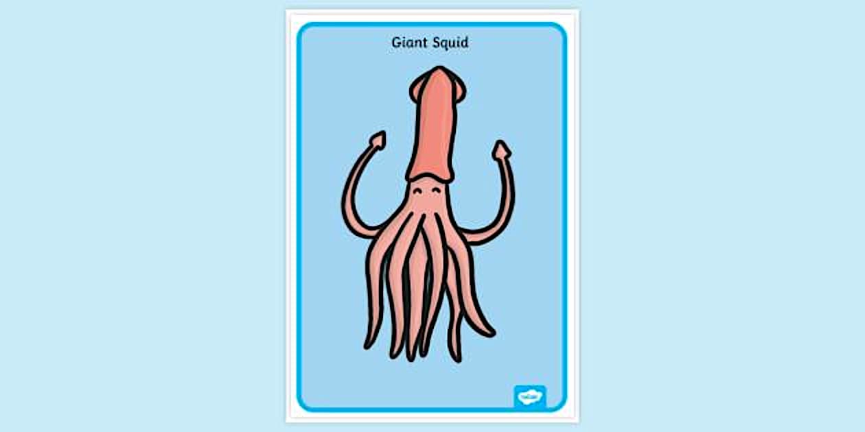 Giant Squid Display Poster | Primary Resources - Twinkl