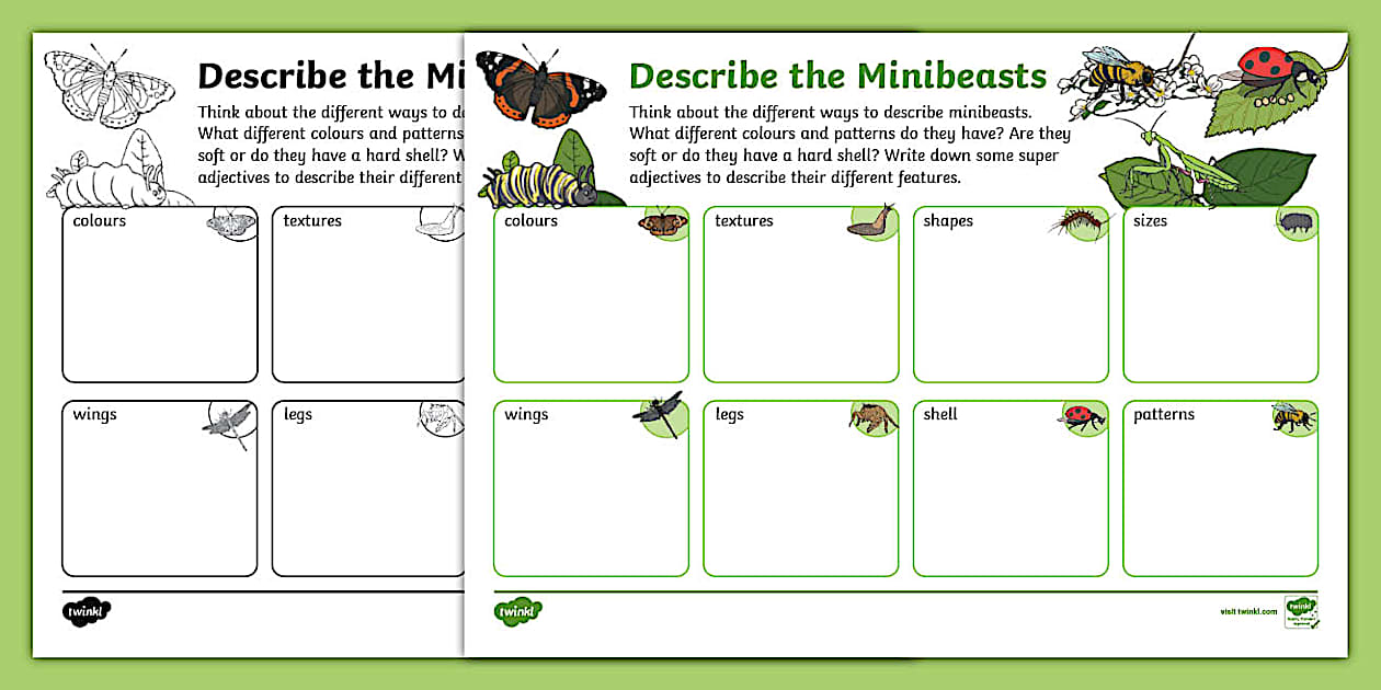Minibeast Adjectives Worksheet (teacher made) - Twinkl