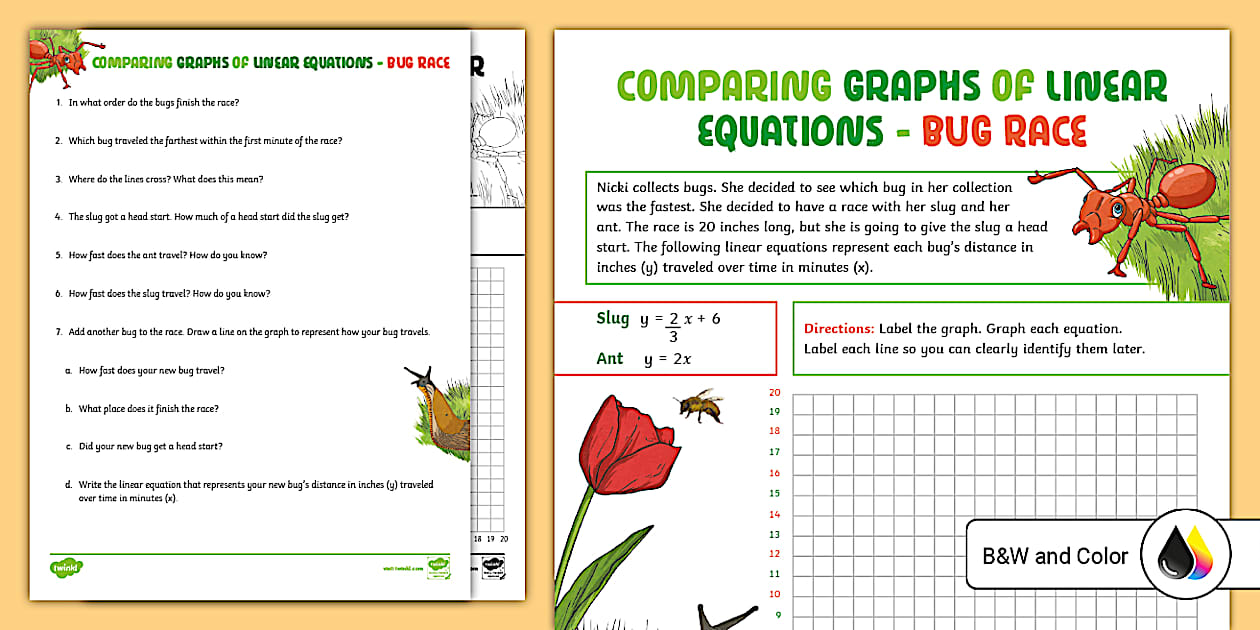 Eighth Grade Comparing Graphs of Linear Equations - Bug Race