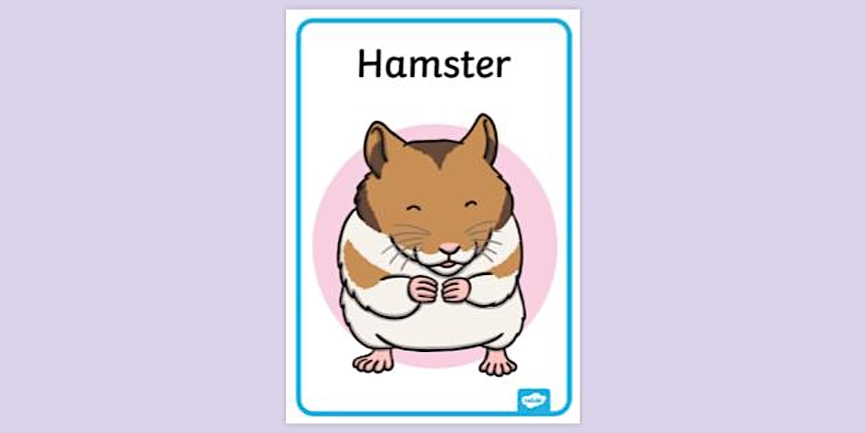 Hamster Display Poster | Display Poster (Teacher-Made)