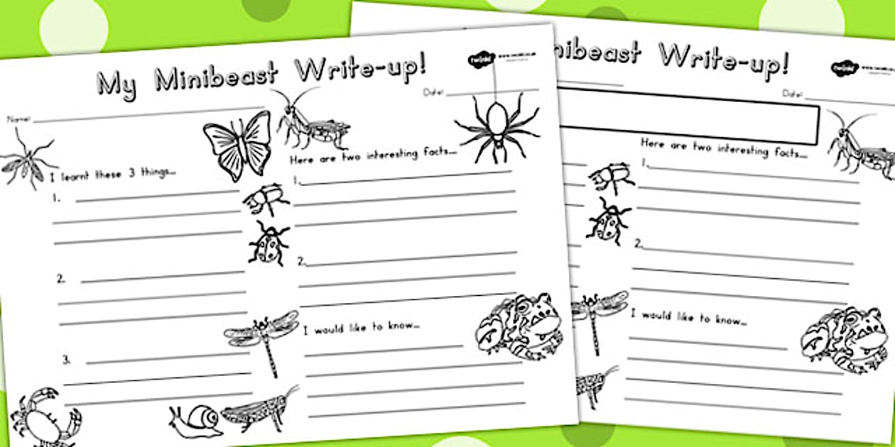 Editable Minibeasts Write Up Worksheet - Australia - Twinkl