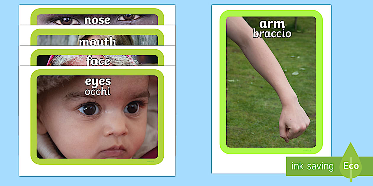 Parts of the Body Photo Pack English/Italian - Parts of the Body Photo Pack