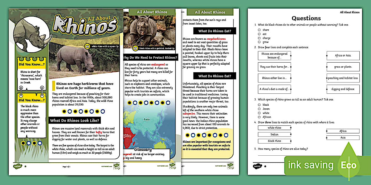 LKS2 All About Rhinos Differentiated Reading Comprehension Activity