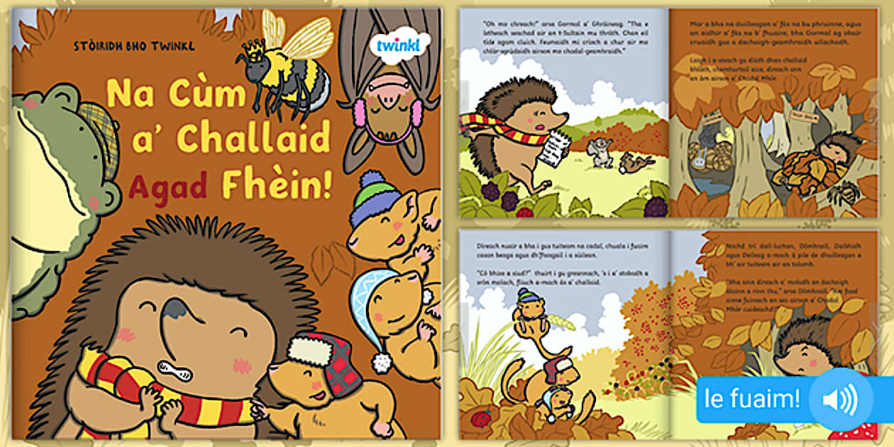 Leabhar-d Na Cùm a’ Challaid Agad Fhèin le Fuaim - FtMG