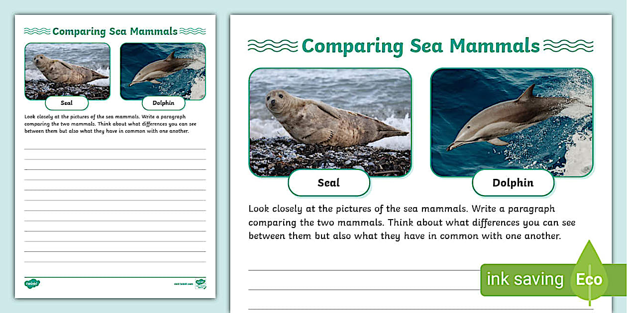 Comparing Sea Mammals Worksheet (teacher made) - Twinkl