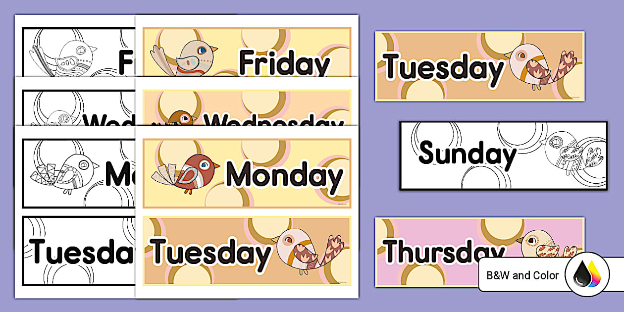 Days of the Week Bulletin Board Labels - Twinkl
