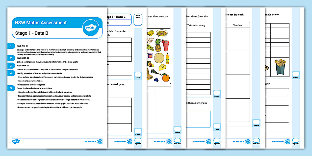 Maths Assessment NSW Curriculum – Stage 1 Data B - Twinkl