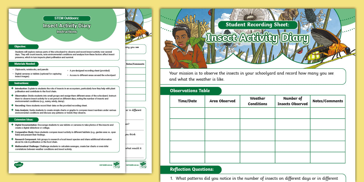 STEM Outdoors: Insect Activity Diary (Teacher-Made) - Twinkl