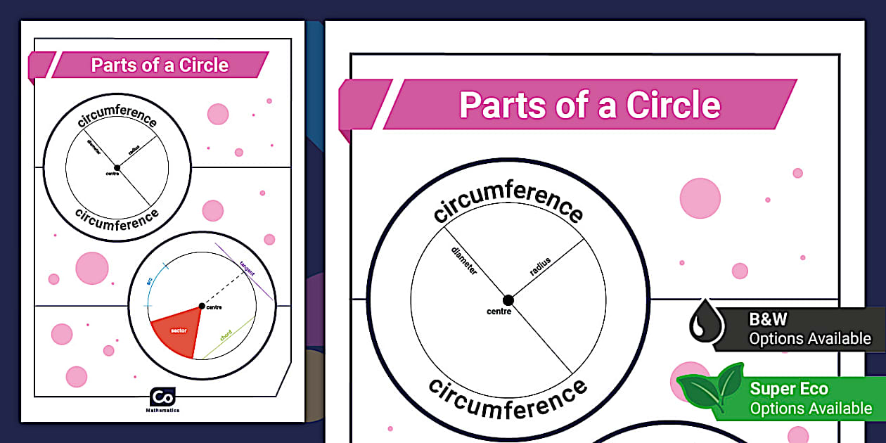 Parts of a Circle Display Poster (teacher made) - Twinkl