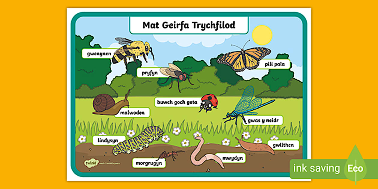Mat Geiriau Trychfilod (teacher made) - Twinkl