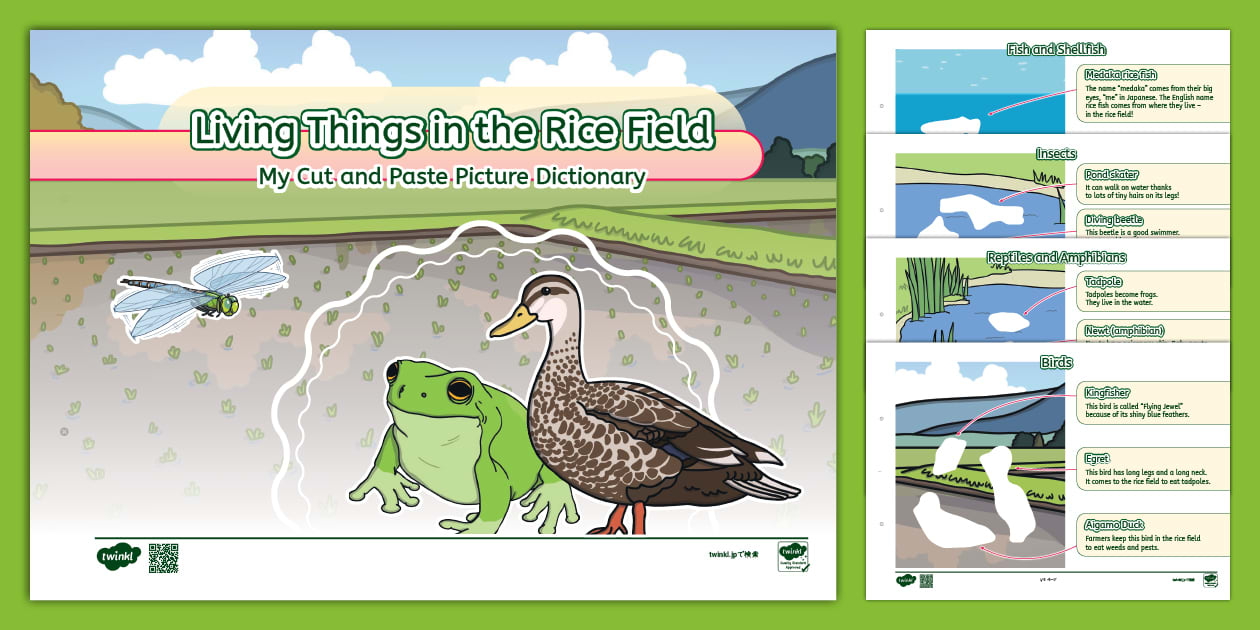 田んぼの生き物手作り図鑑 Rice Field Cut and Paste Picture Dictionary