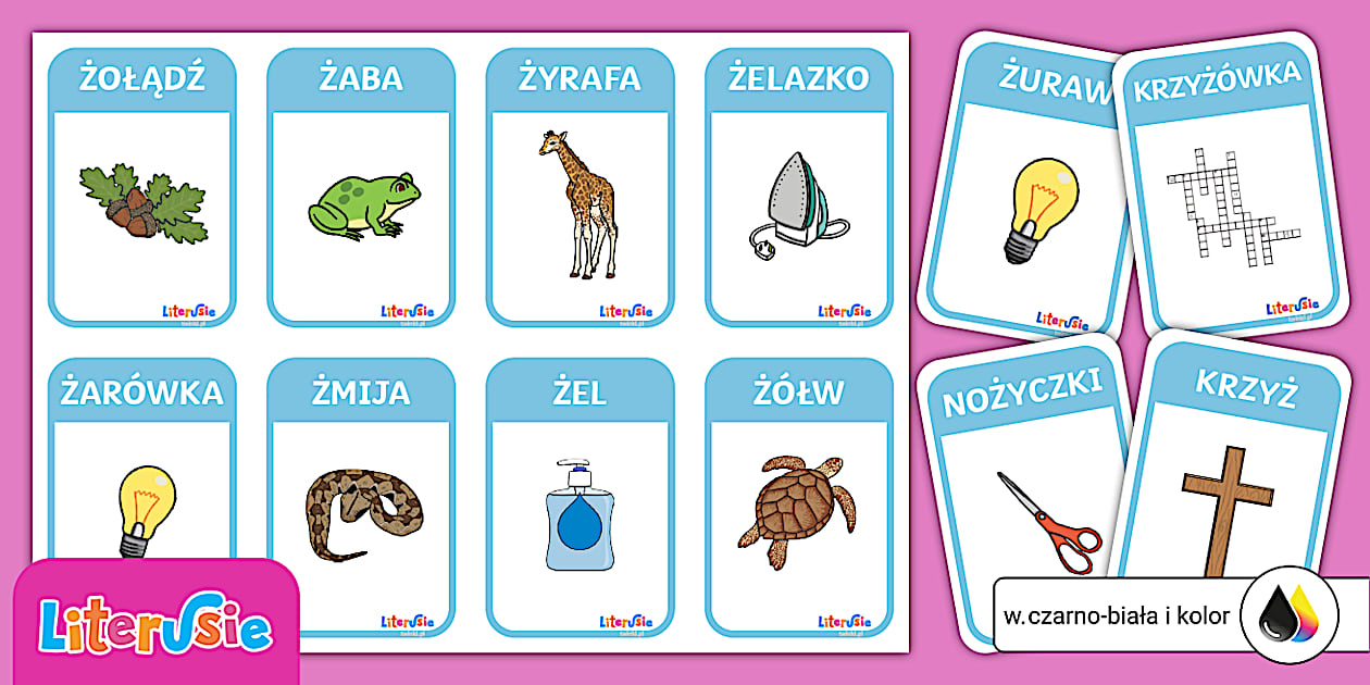 Literuś Ż | Fiszki z wyrazami z literą Ż - Twinkl