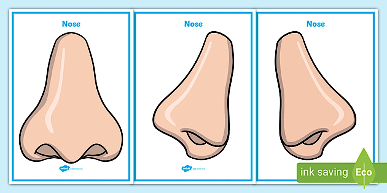 Printable Nose Pictures display posters - Resources - Twinkl