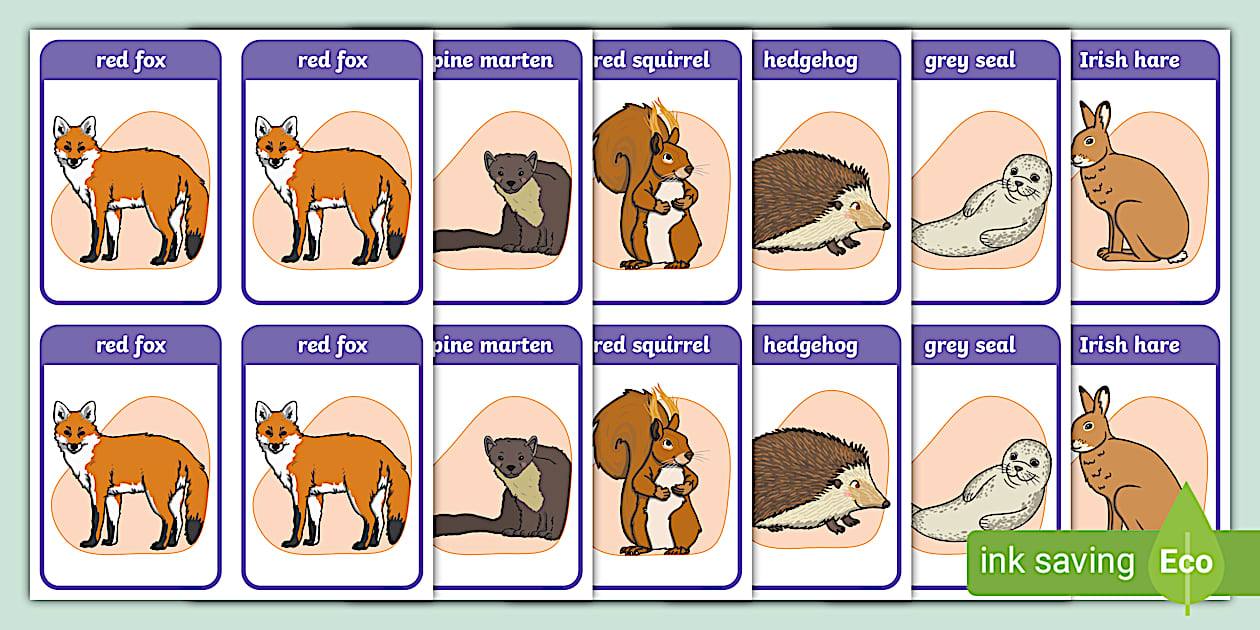 Wild Irish Animals Snap Cards (Teacher-Made) - Twinkl