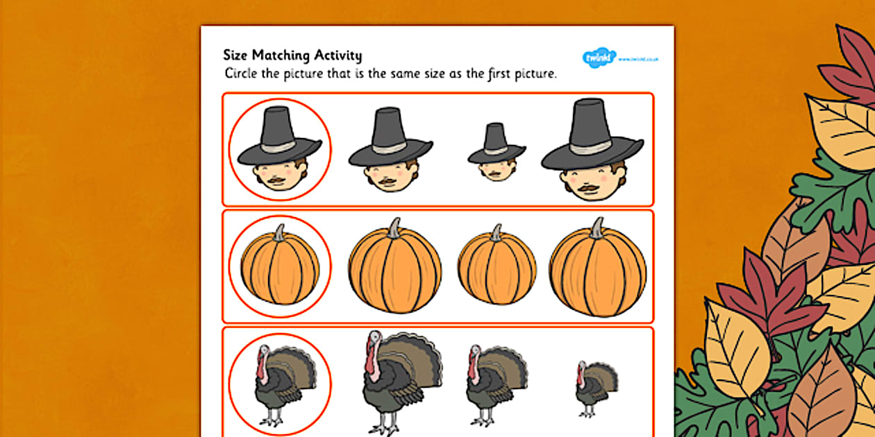 Thanksgiving Size Matching Worksheet (teacher made) - Twinkl