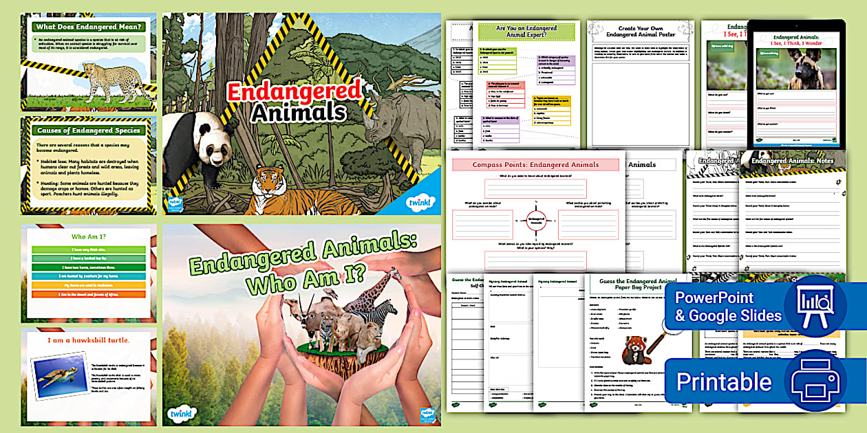 Third Grade Endangered Animals Activity Pack