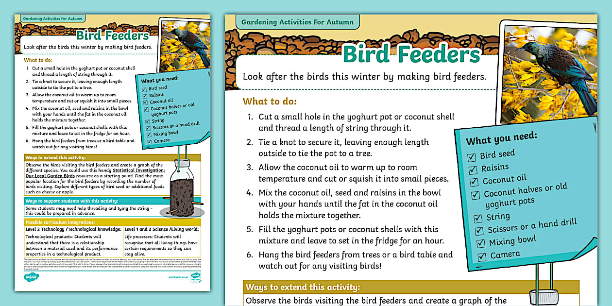 Bird Feeders Craft Instructions (teacher made) - Twinkl