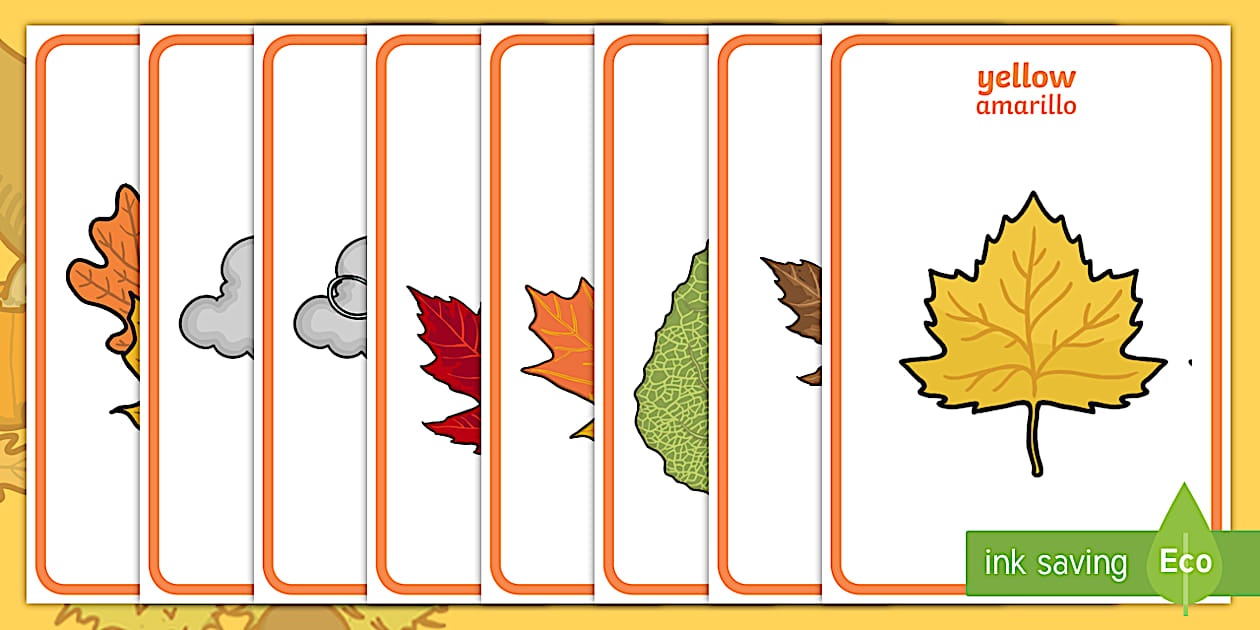 Autumn Display Posters English/Spanish - Twinkl