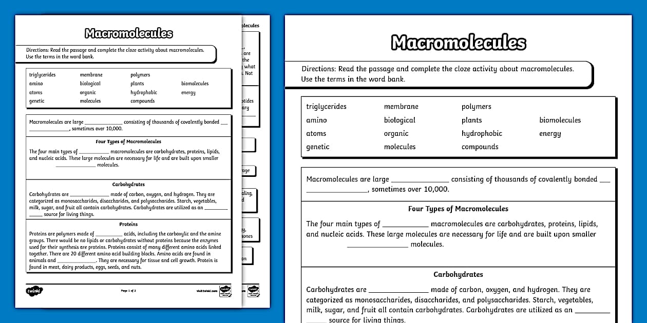 Macromolecules Worksheet | Science Resource | Twinkl USA