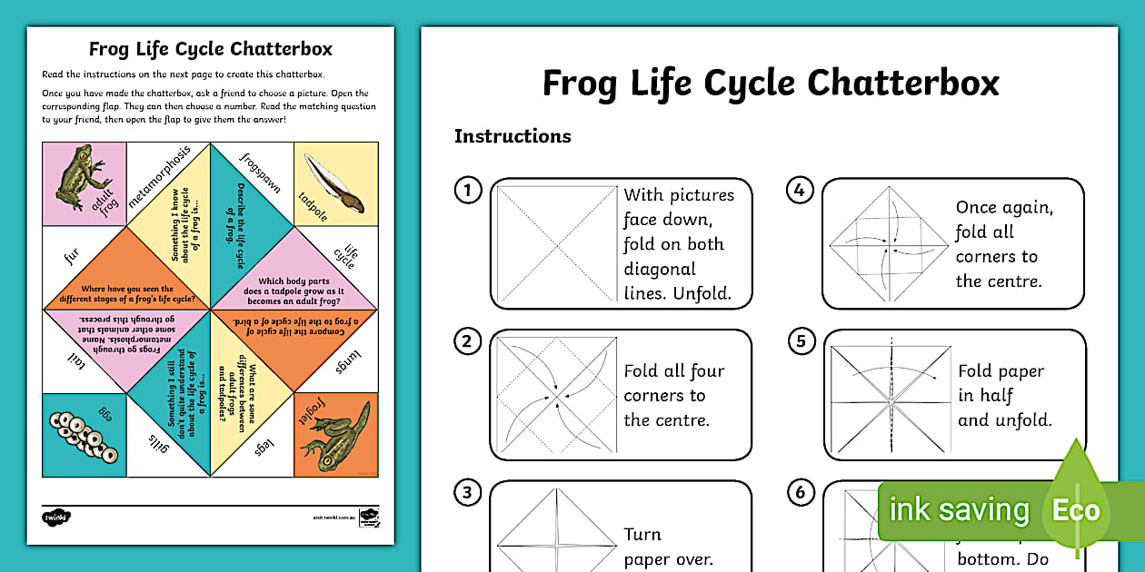 Frog Life Cycle Chatterbox - Educational Resources - Twinkl