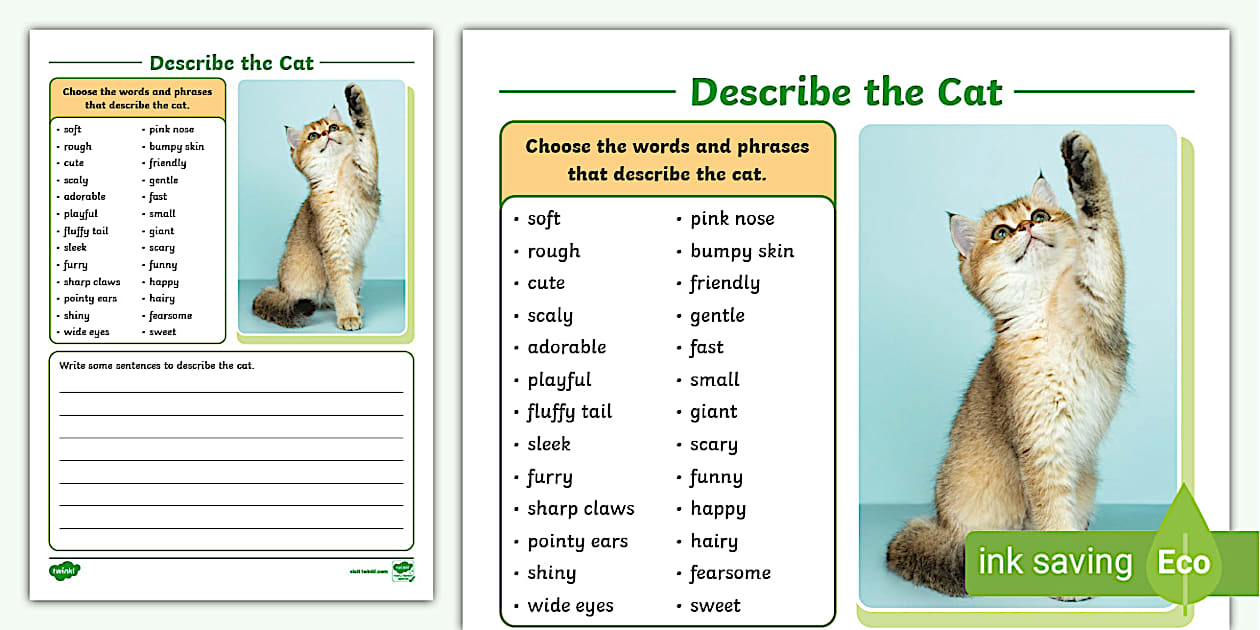 Describe the Cat Writing Activity Sheet (teacher made)