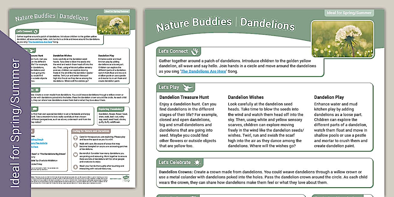 EYFS Nature Buddies: Dandelions | Outdoor Learning | Twinkl