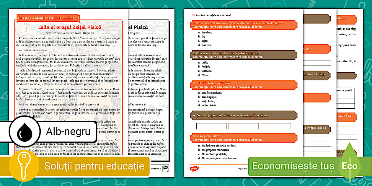 Clasa 4 Pregătire EN LLR – Fișe de exersare pentru noiembrie