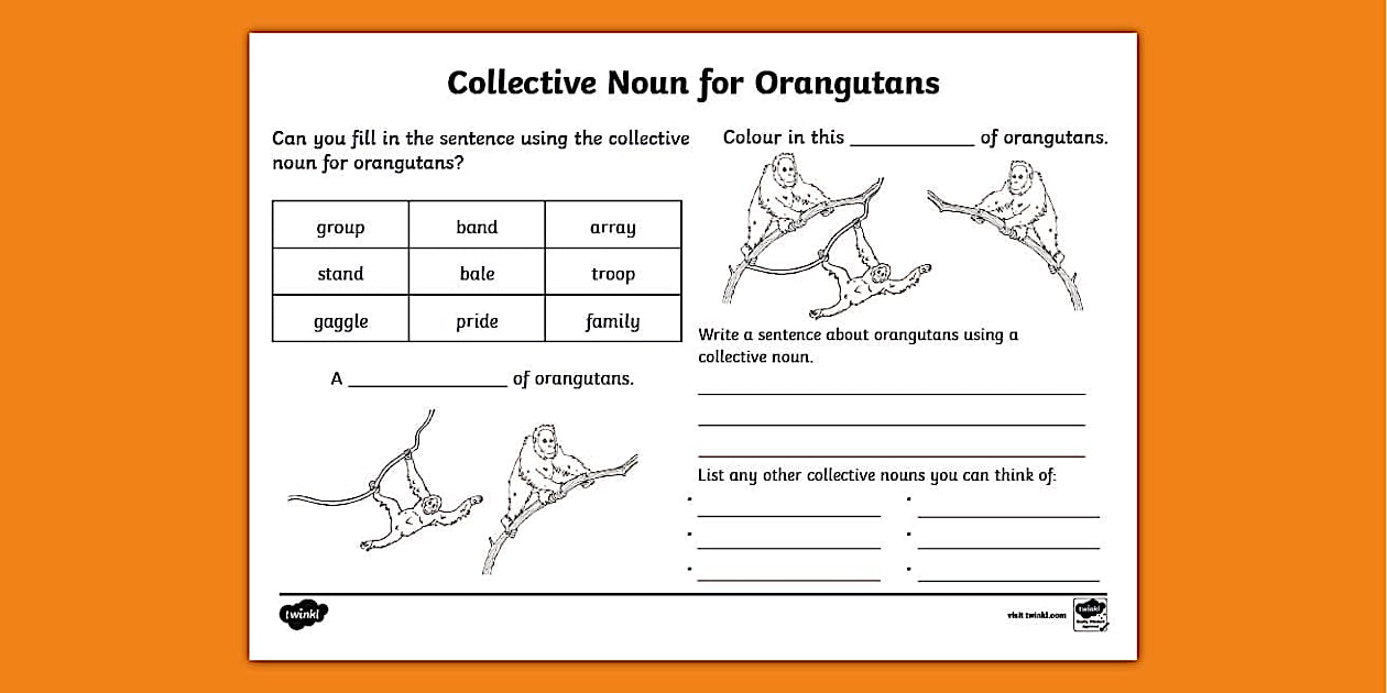 Collective Noun Orangutans Worksheet (teacher made) - Twinkl
